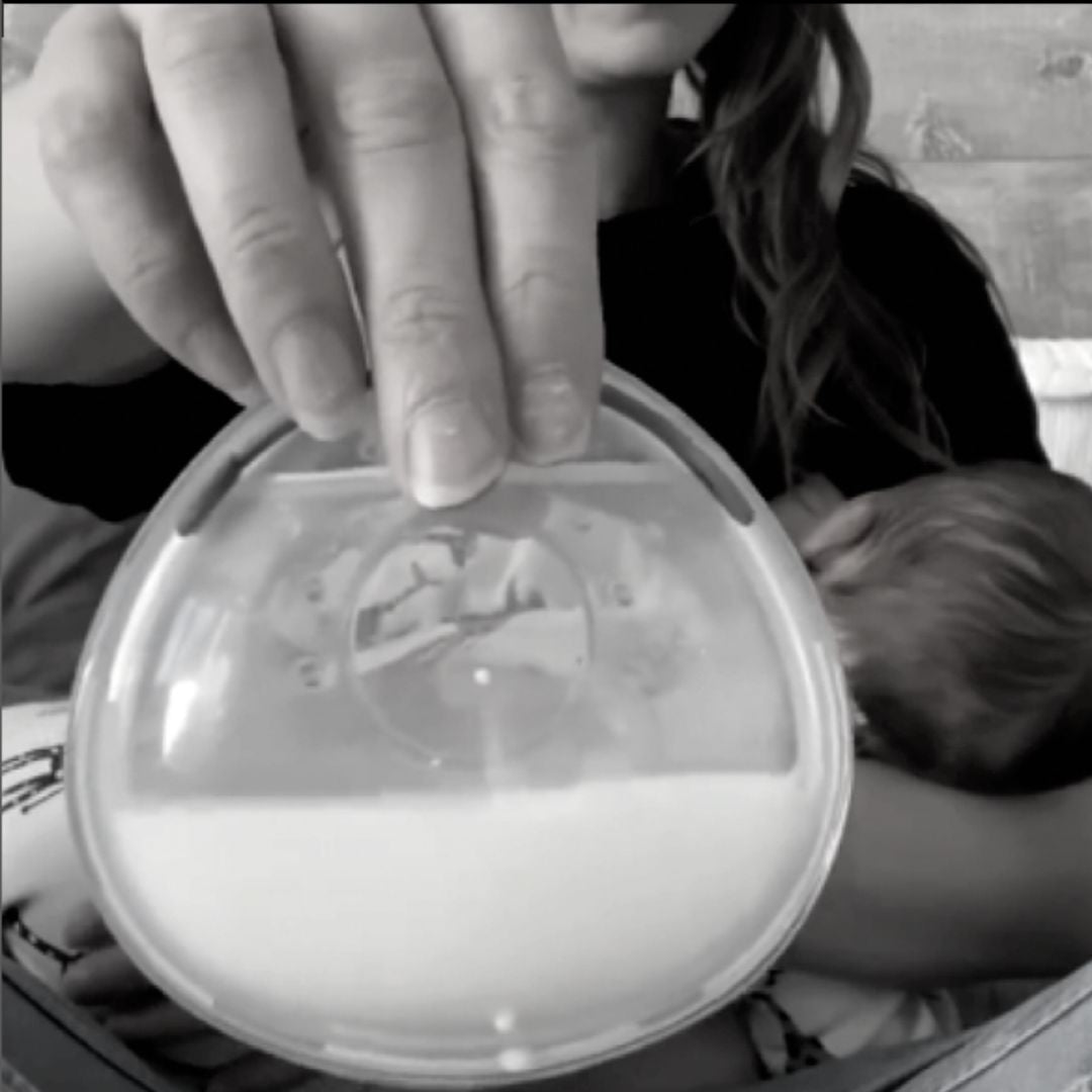 Maia Milk Shells - 2 Shells and a Case – Maia Mum